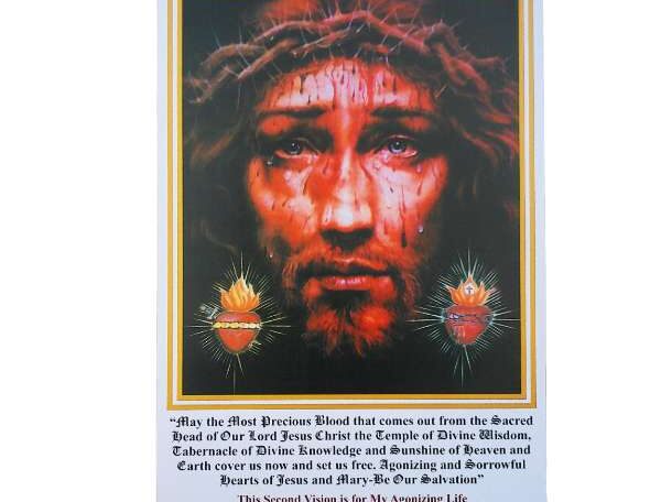 APB Poster English - Most Precious Blood USA